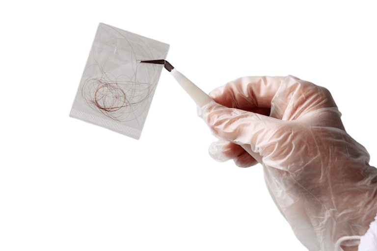 Understanding DNA Profile Testing with AbsoluteDNA - Your DNA Testing ...