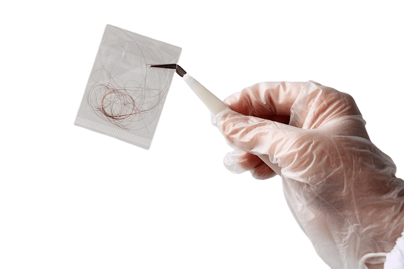 Understanding DNA Profile Testing with AbsoluteDNA - Your DNA Testing ...